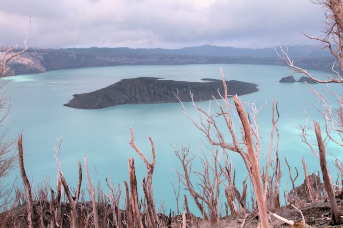 © YASHMIN CHEBLI - Terms and conditions