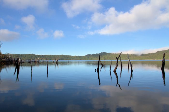 © YASHMIN CHEBLI - Terms and conditions